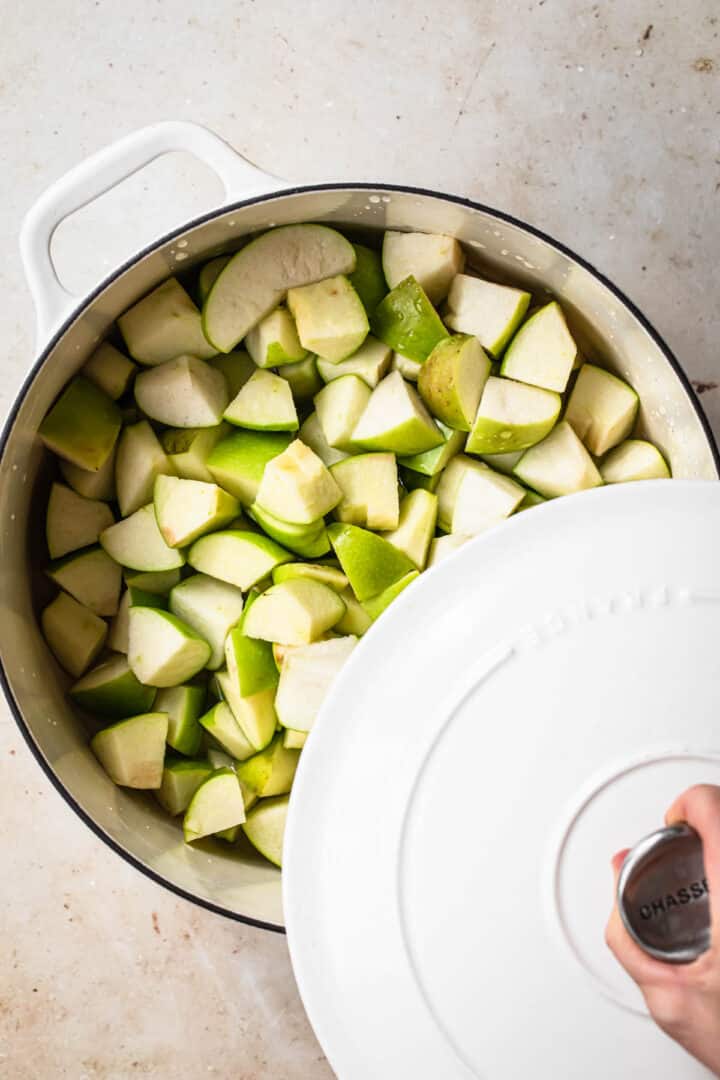 Homemade Applesauce No Sugar - Our Nourishing Table